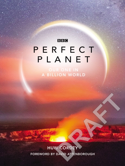 A Perfect Planet - Rossiters Bookshop